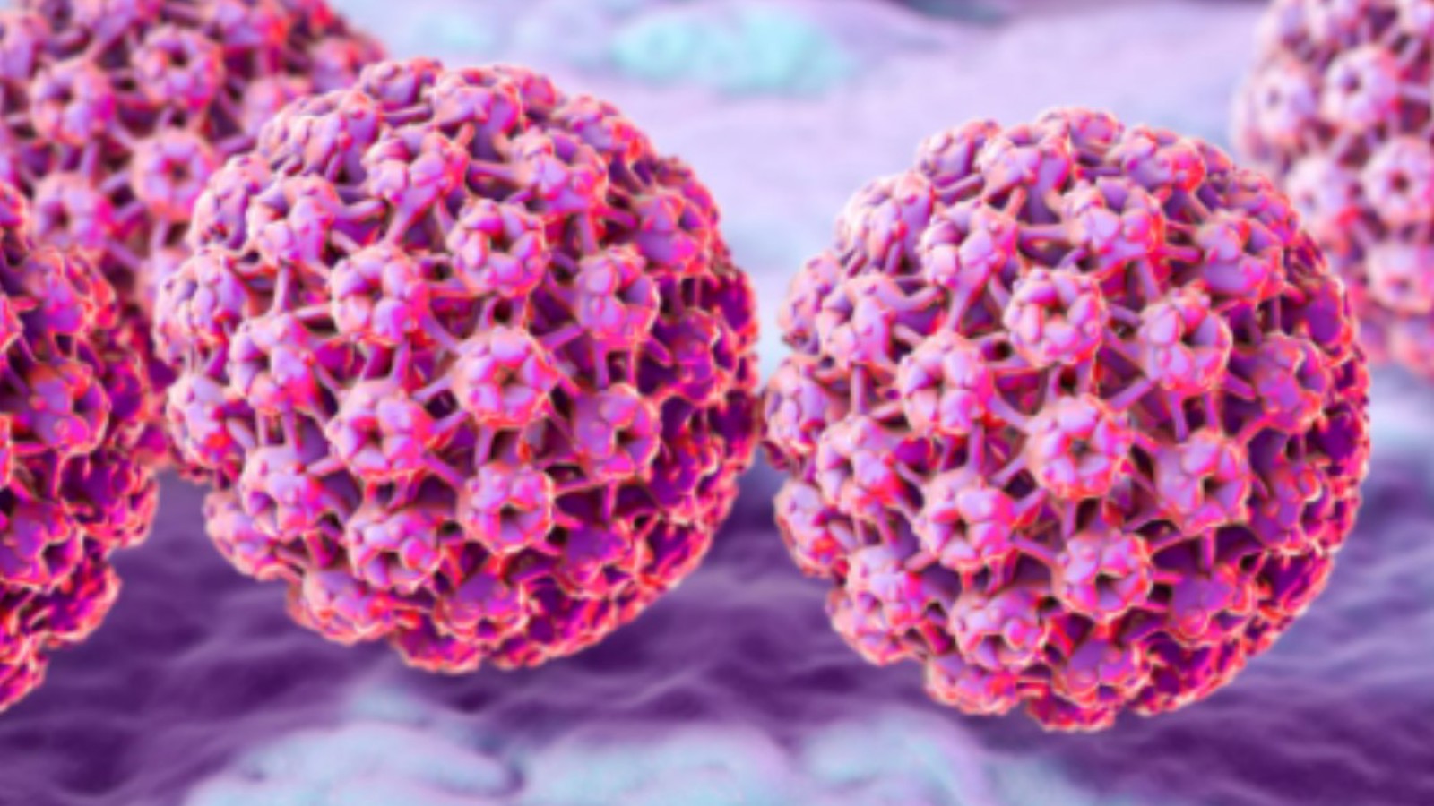 Human Papillomavirus Hpv Head And Neck Cancer Australia