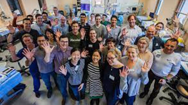 Staging and Grading | Head and Neck Cancer Australia